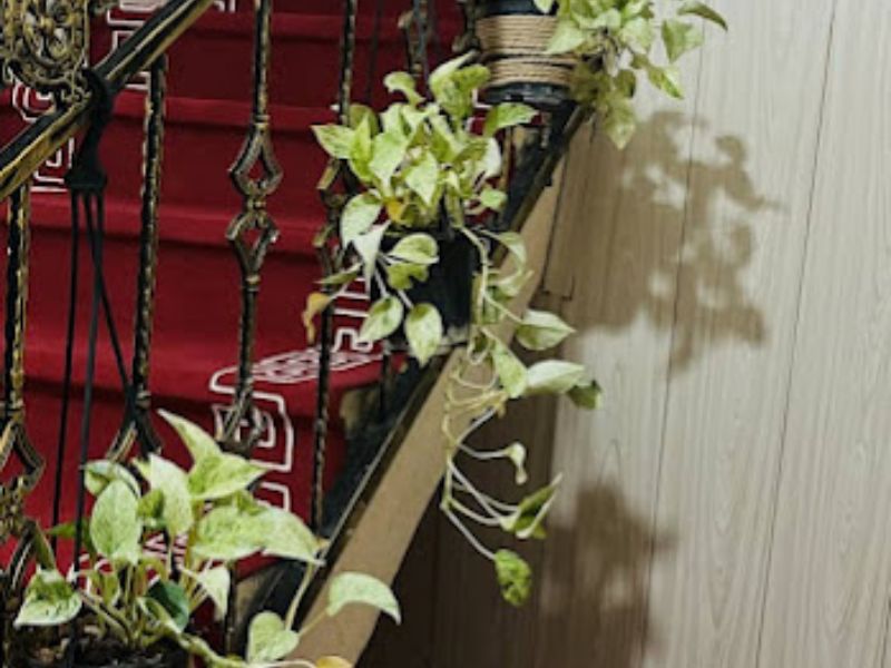 Book Midaf Hotel Asaluyeh | Instant Booking